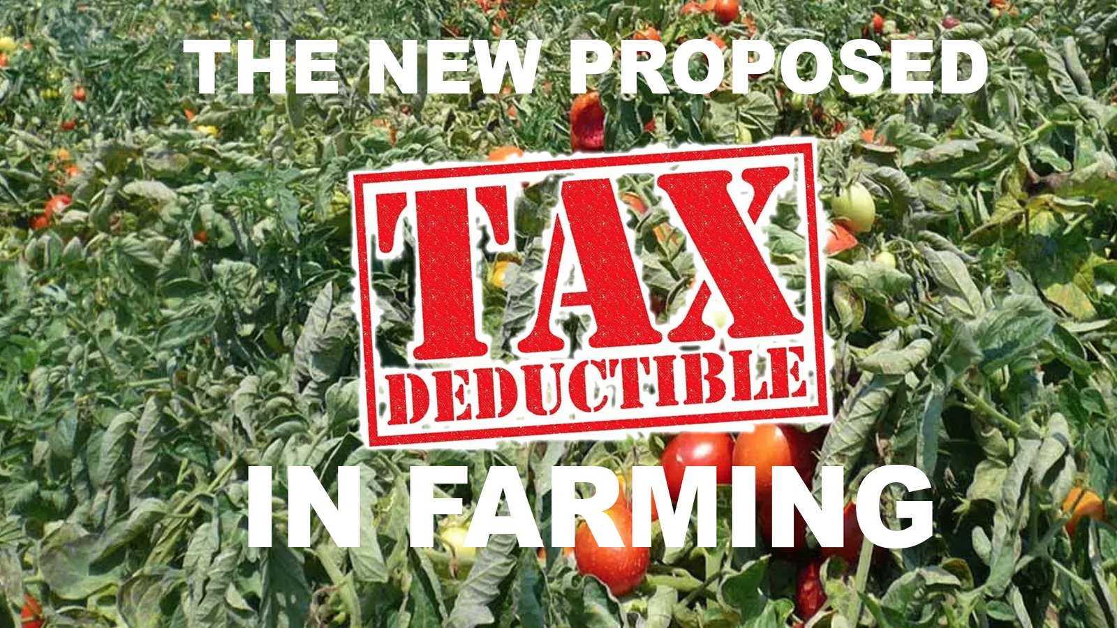 The New Presumptive Tax in Farming - Agri Innovation Hub