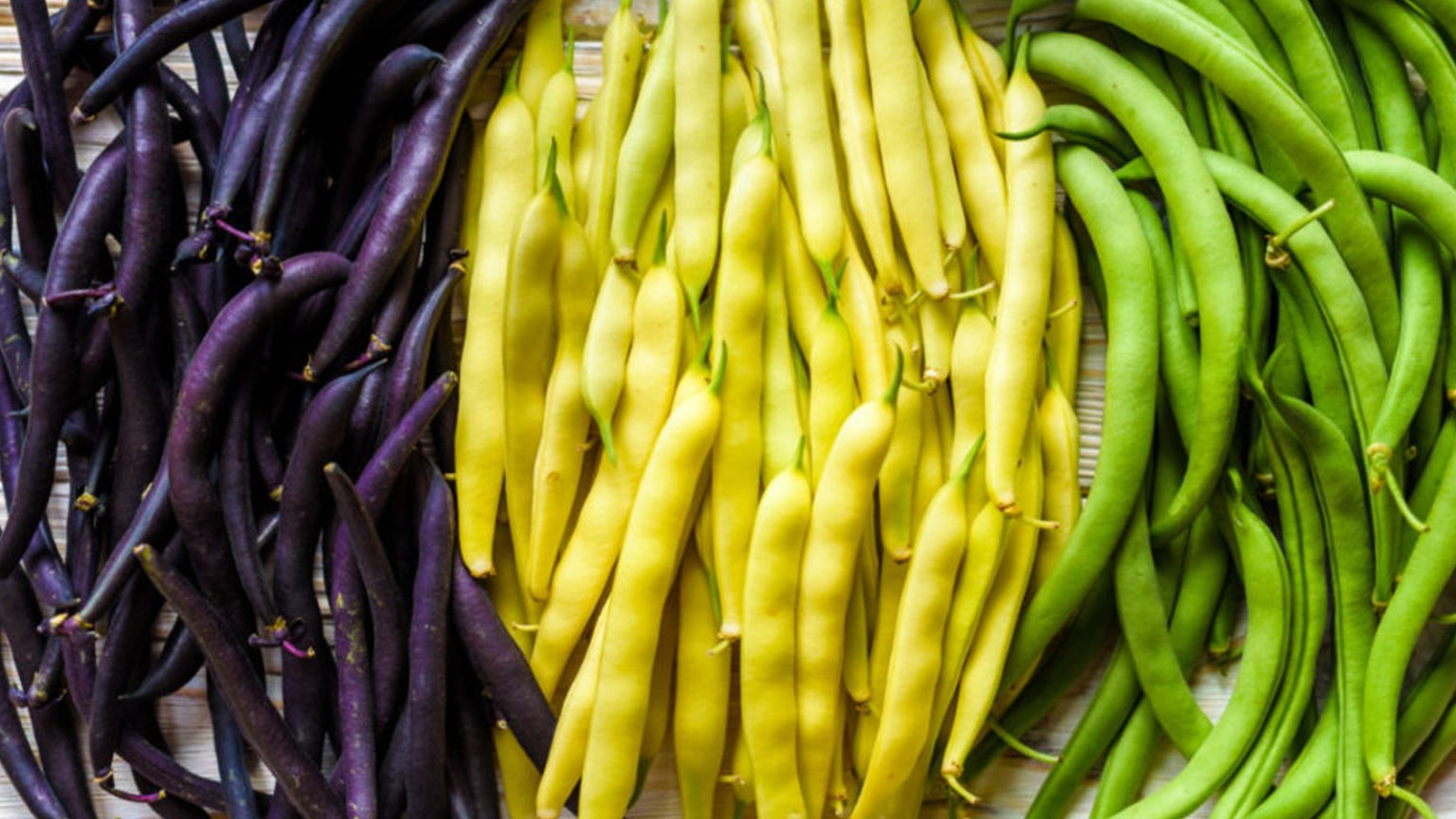 Best guide to successful beans farming, varieties and where to buy ...