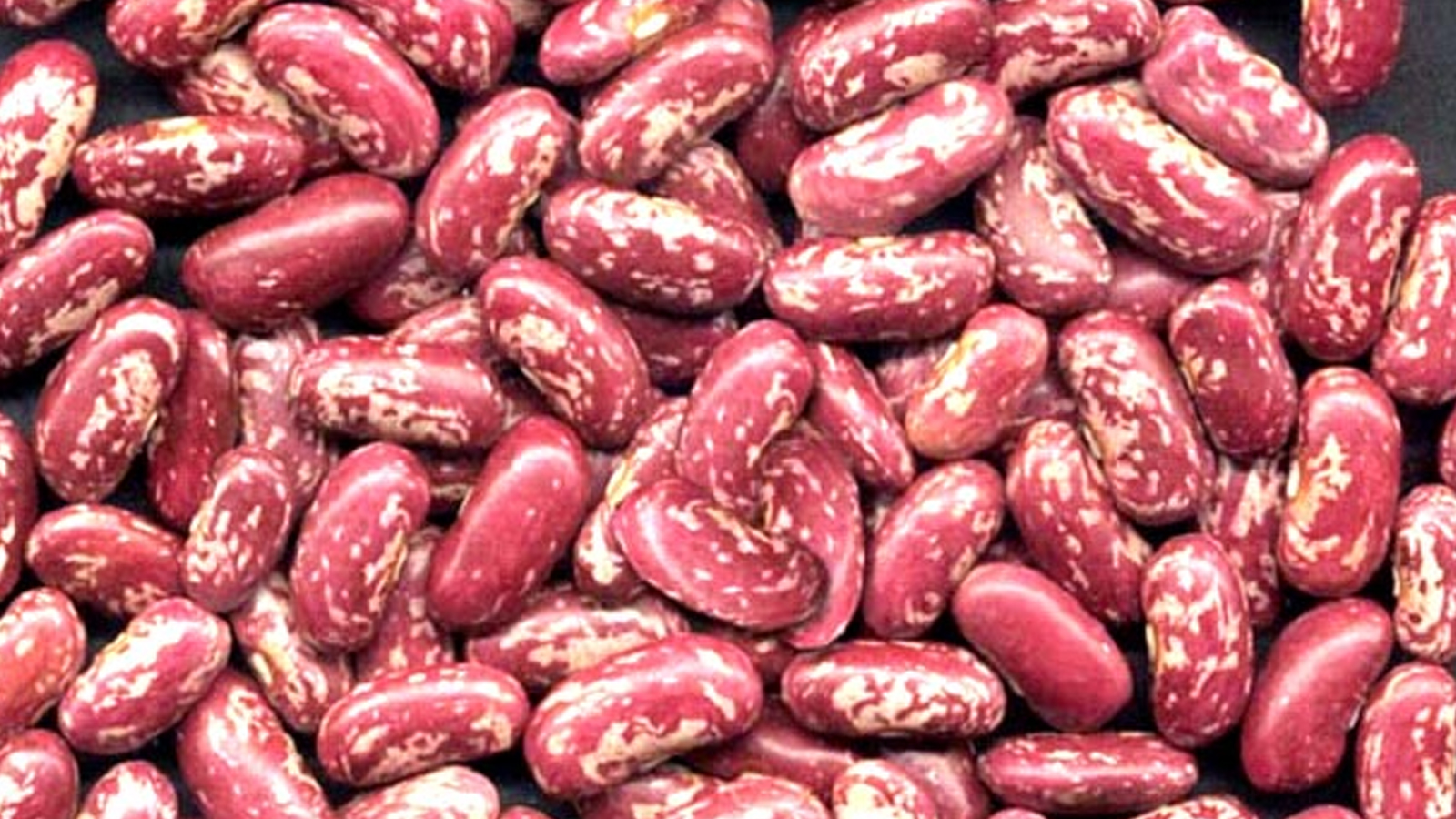 Best guide to successful beans farming, varieties and where to buy ...