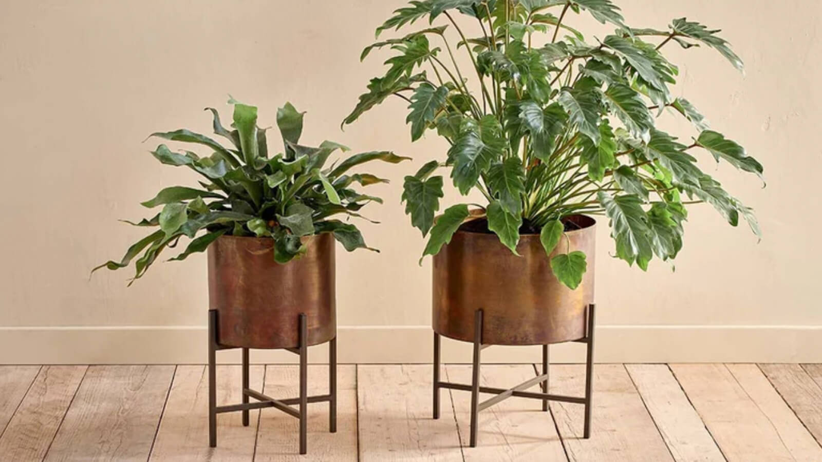Iron Planters - Agri Innovation Hub